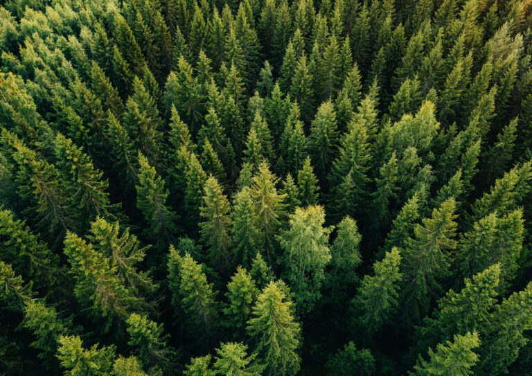 Spa Management / Company Page - OneSpaWorld