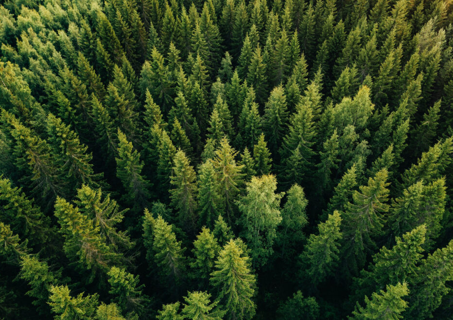 Spa Management / Company Page - OneSpaWorld